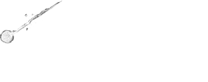 What can be registered as a trademark for software? - Polikarpov Law Firm